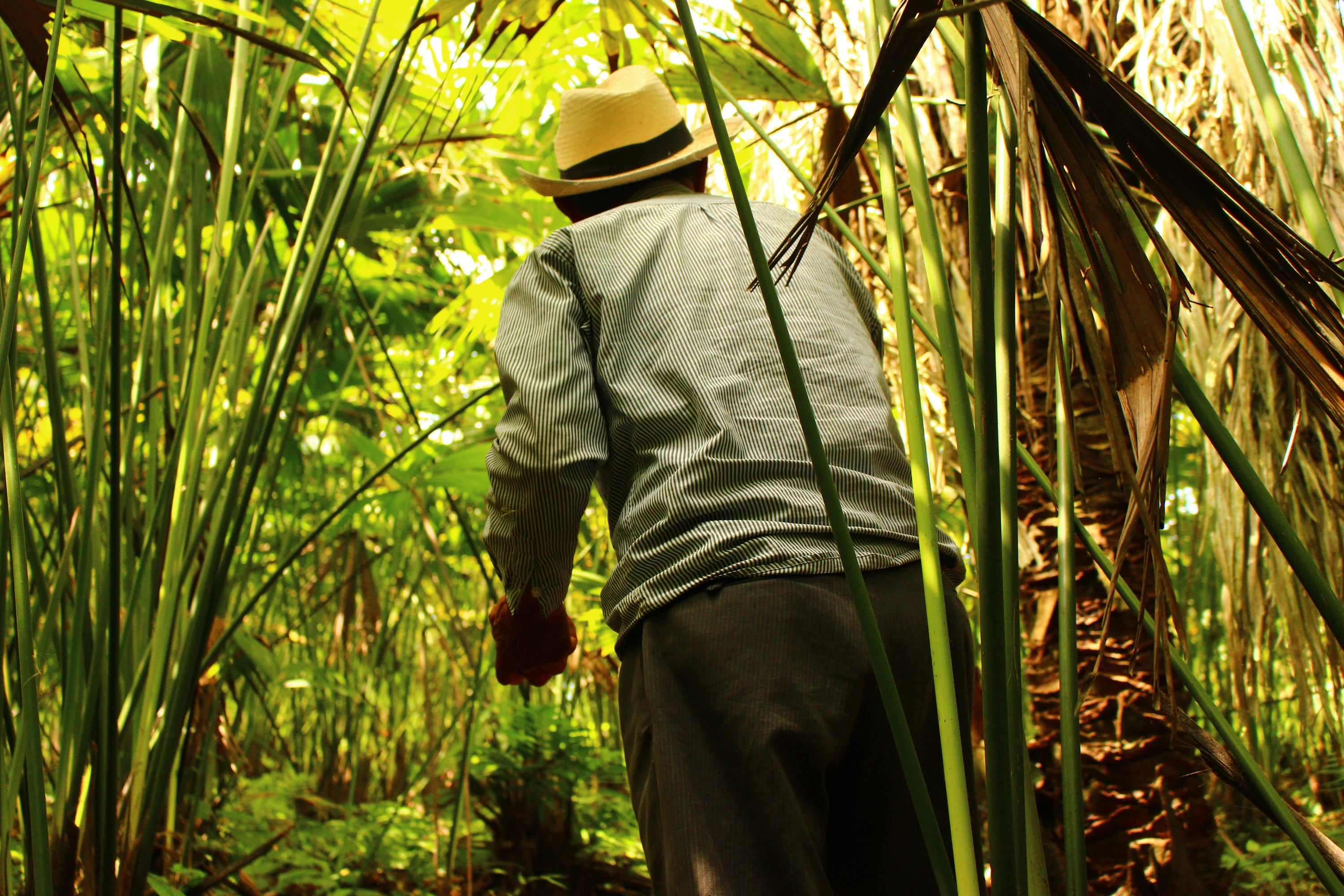 Ecua-Andino | Genuine Panama Hat from Ecuador – Shop Ecua-Andino Hat